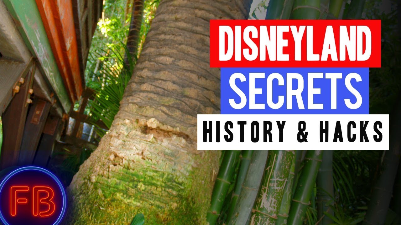 The Dominguez Tree in Adventureland - Disneyland Secrets and History ...