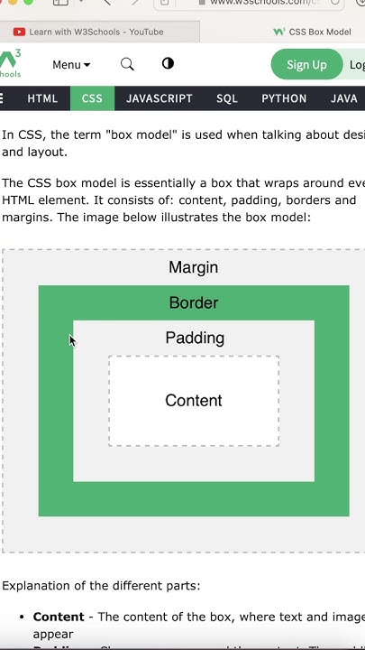 Css For Dummies 01 Css Box Model Css Htmlcss Shorts Youtube
