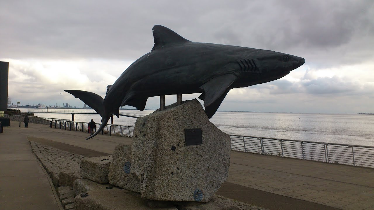 THE DEEP , HULL UK - YouTube