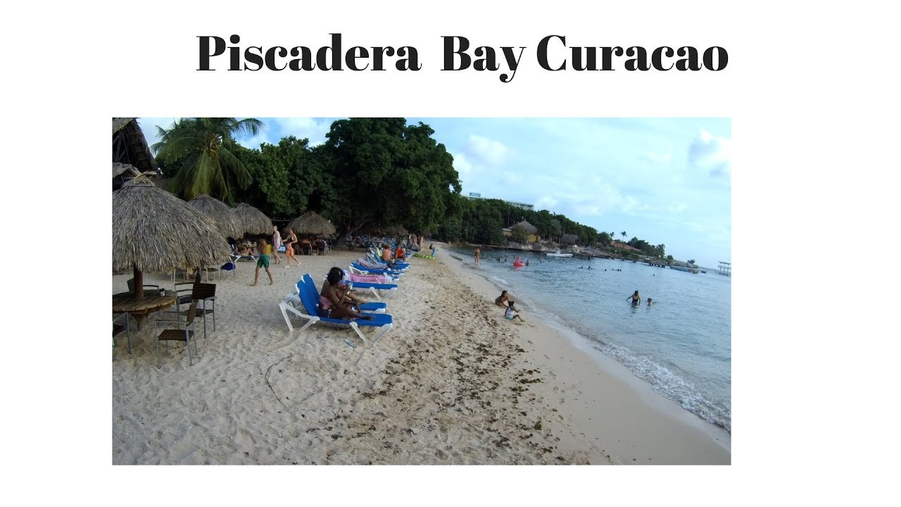 🔴Piscadera Bay Curacao Island in Caribbean Pirate Bay Swimming Diving ...