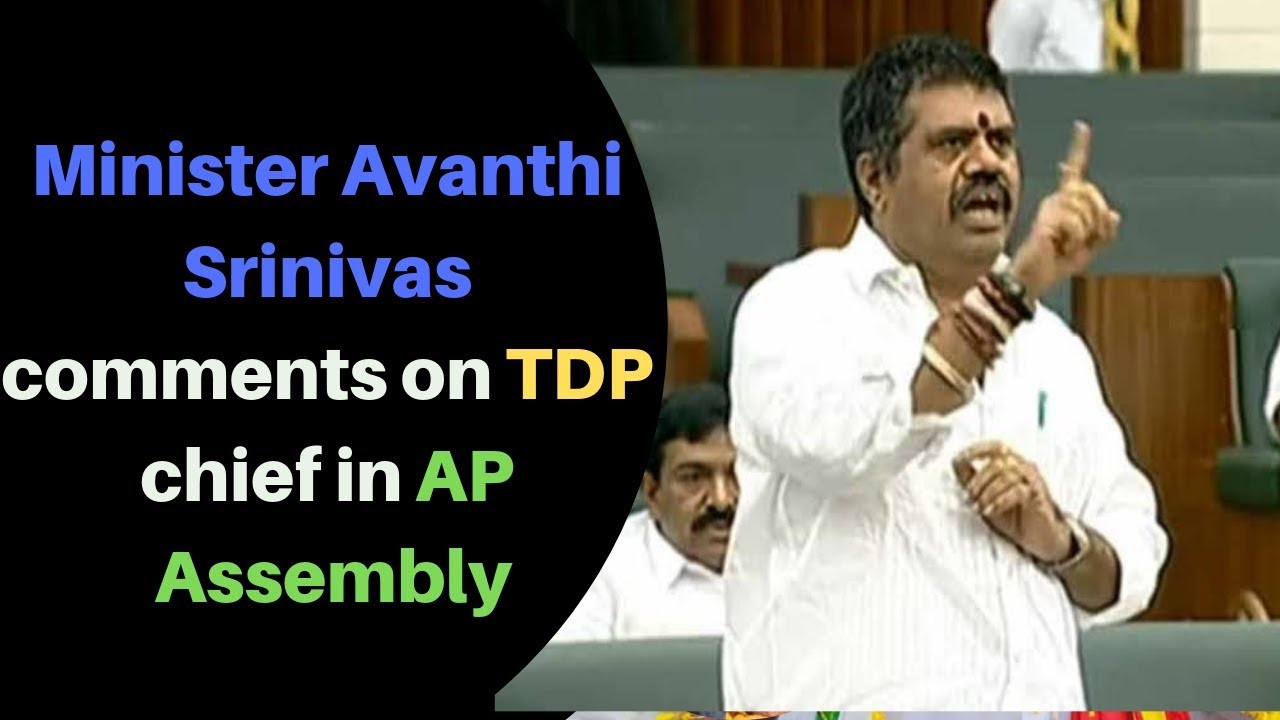 Minister Avanthi Srinivas comments on TDP chief in AP Assembly - YouTube