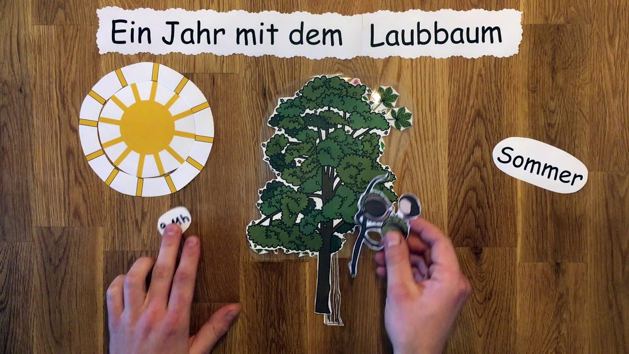 Der Laubbaum im Jahreswechsel //Jahreszeiten // Bäume und Wald im ...