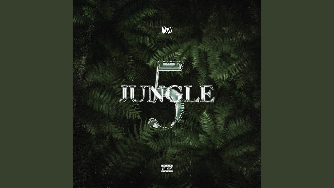 Jungle #5 - YouTube Music