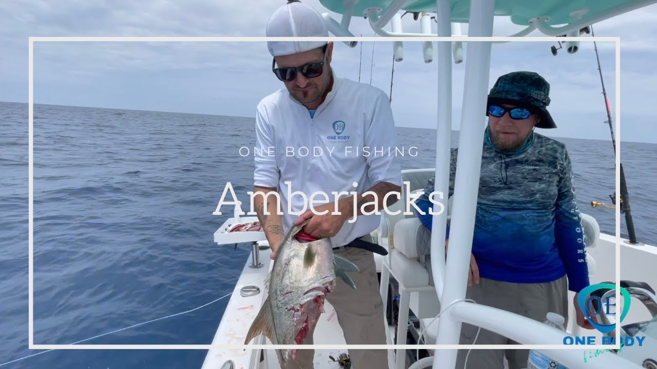 SHARK BITE!! The AMBERJACKS want STOP.. - YouTube