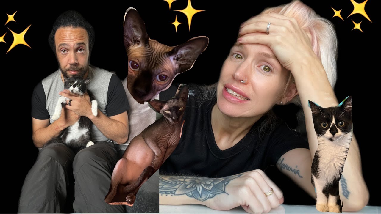 Cat Update ... - YouTube