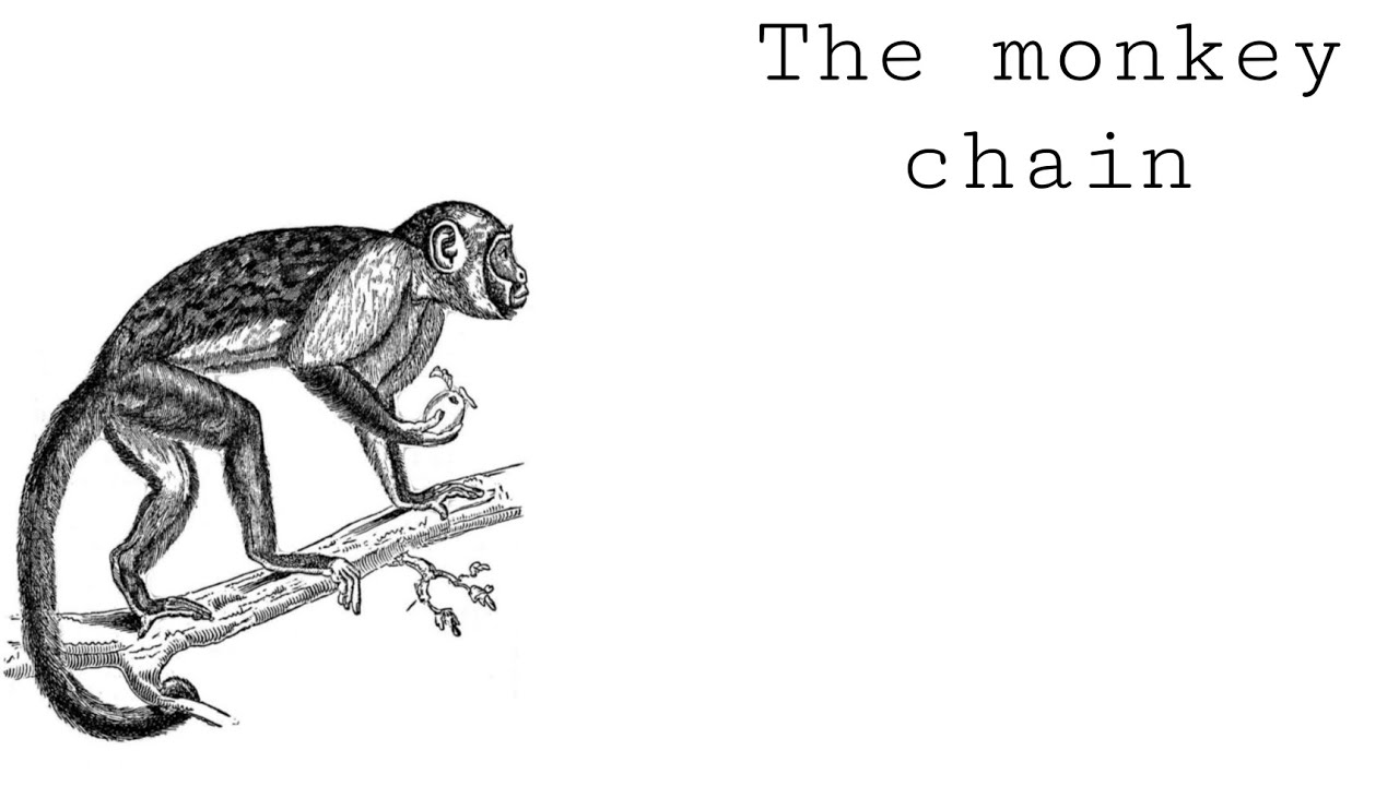 Monkey chain theory - YouTube