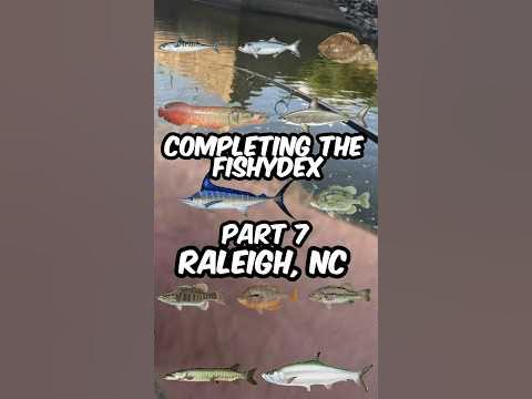 Catching the smallest fish yet— Completing the Fishydex, Part 7 # ...