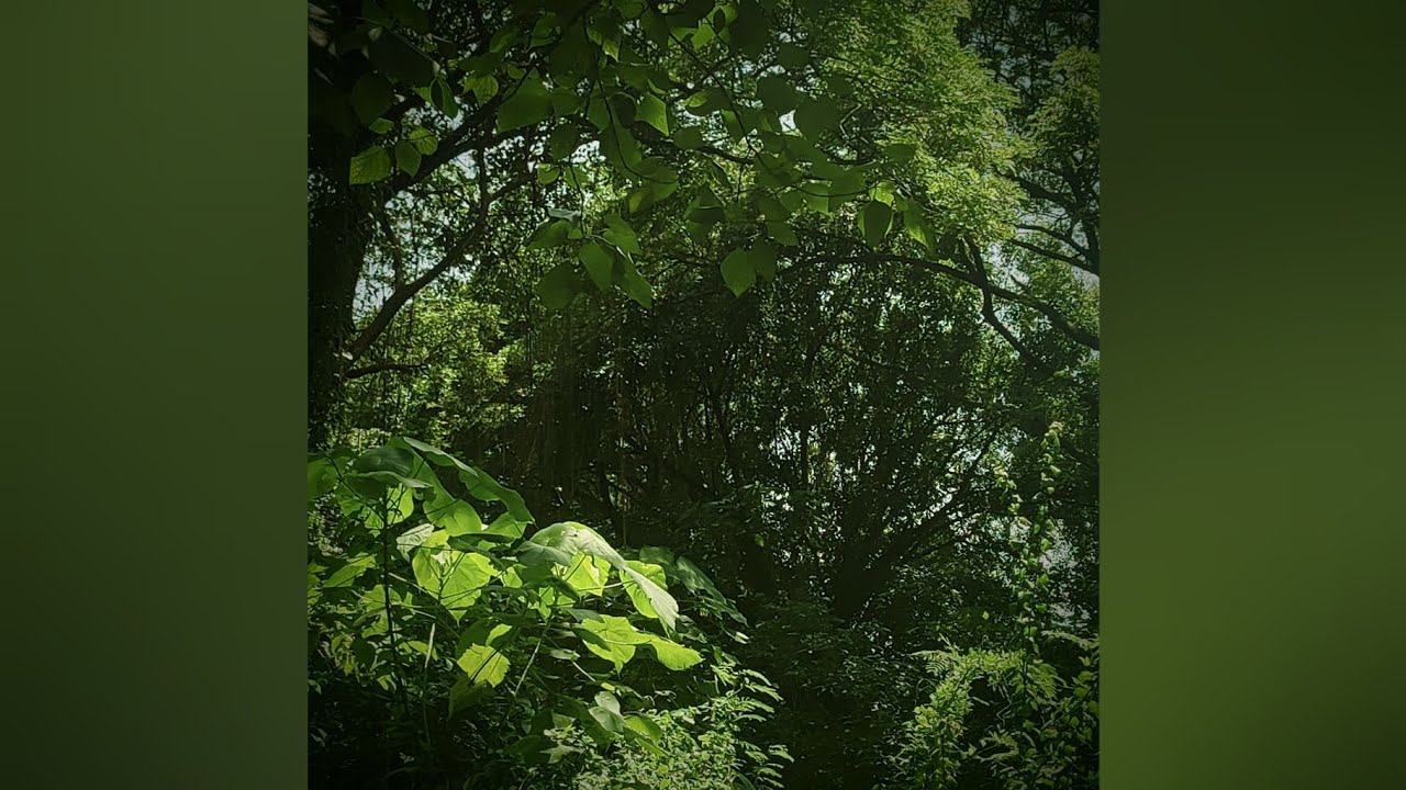 Burnout (cover) - YouTube