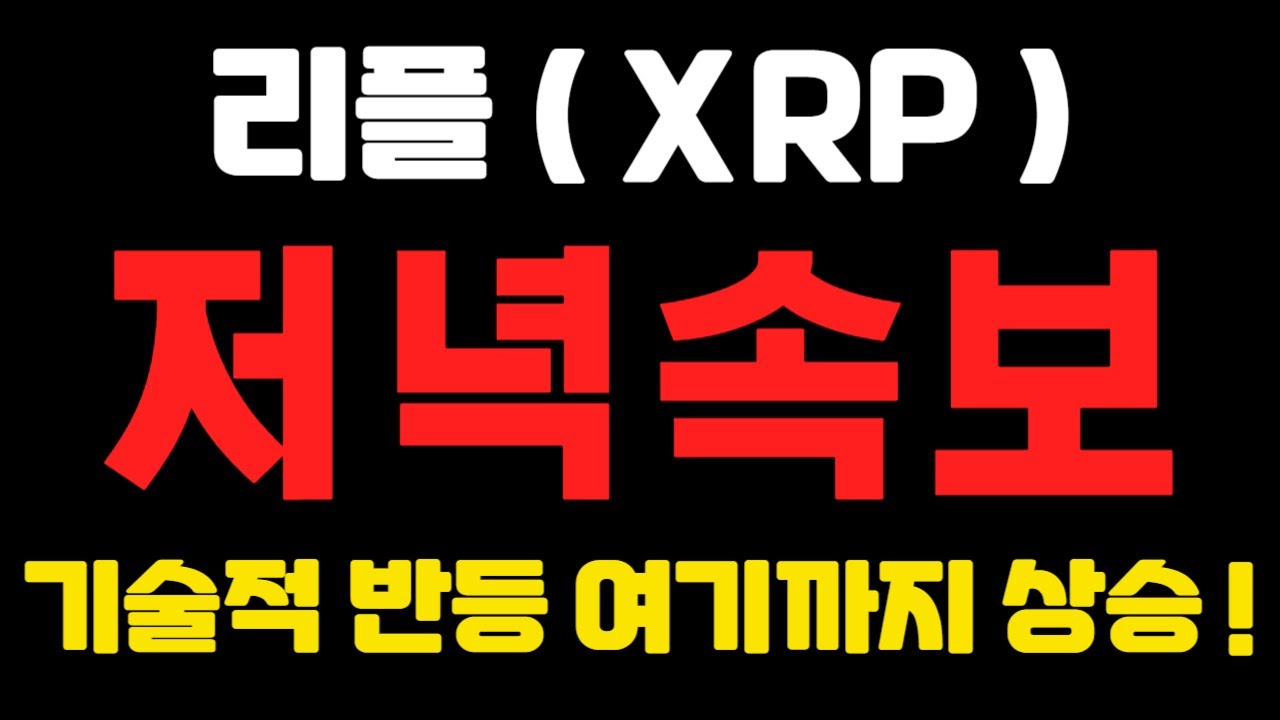 리플코인 저녁속보 기술적반등 여기까지 상승한다 불독코인프리세일코인시바이누코인리플이더리움도지코인코인단타