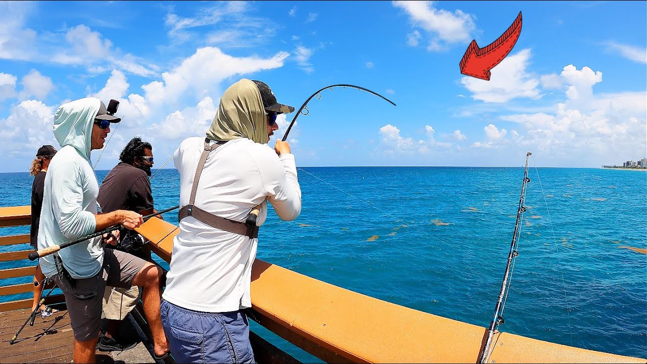 We Were SHOCKED How MASSIVE this PIER Fish Was!! Didn't Know They Got ...