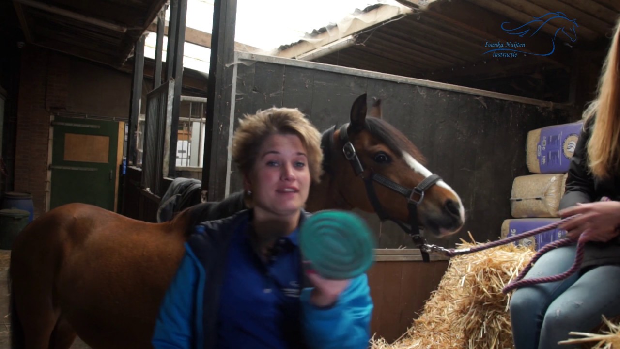 Pony poetsen. vlog 16 - YouTube