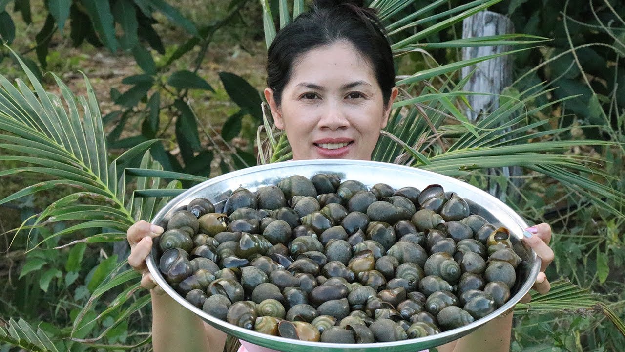 Cooking Snail Curry With Eggplant Recipe - Snail Curry Cooking - Khmer ...