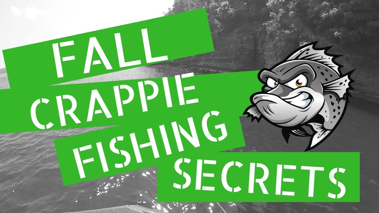 Fall crappie fishing secrets - how to catch crappie in fall - YouTube