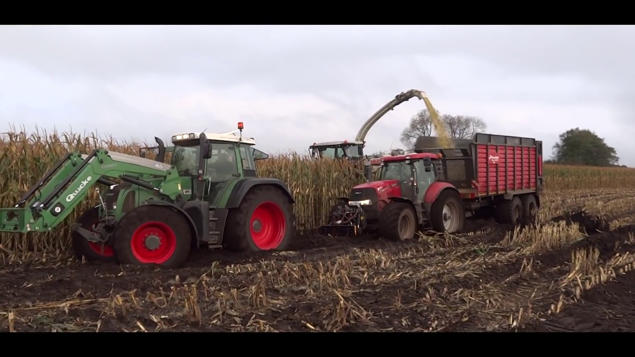 Maishäckseln 2017 / Claas Jaguar, JCB, MB trac... - YouTube