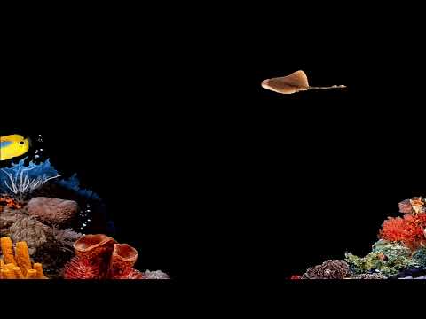 Windows 98 Underwater Screensaver (1 Hour) - YouTube