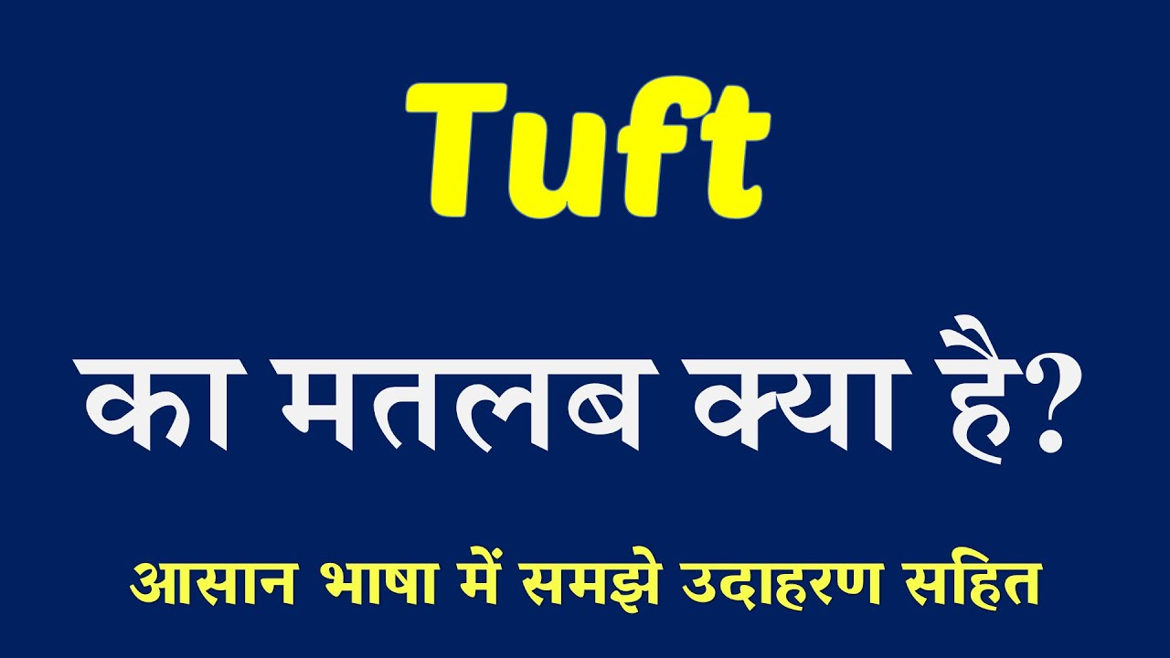 Tuft meaning in Hindi | Tuft ka matlab kya hai | English to Hindi - YouTube