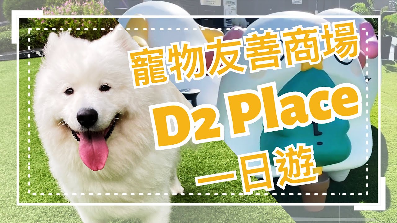 香港寵物友善商場🎁D2 Place一日遊·日式寵物超市Petkoikoi🔸 香港ペットフレンドリーモールD2 Place一天遊🔹Big Dog ...