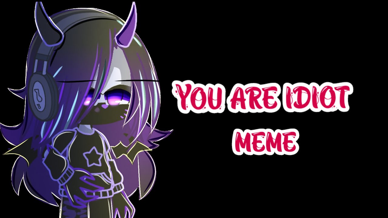 YOU ARE AN IDIOT [meme] - YouTube