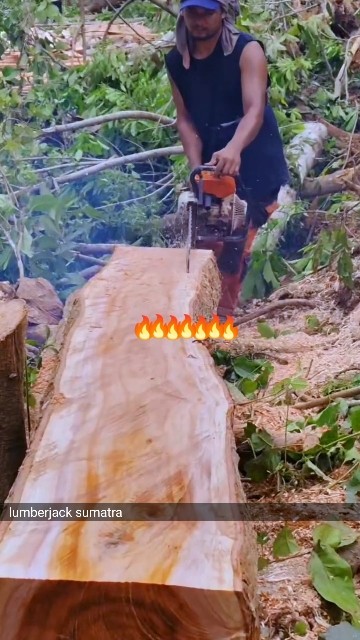 wood splitting technique using a chain saw sthil - YouTube