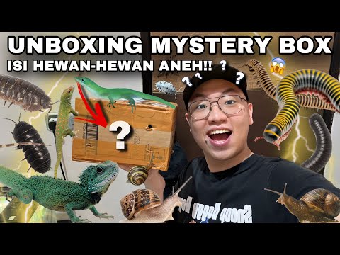 UNBOXING KOTAK MISTERIUS BERISI BANYAK HEWAN-HEWAN ANEH DAN LUCU! MYSTERY BOX HEWAN UNIK