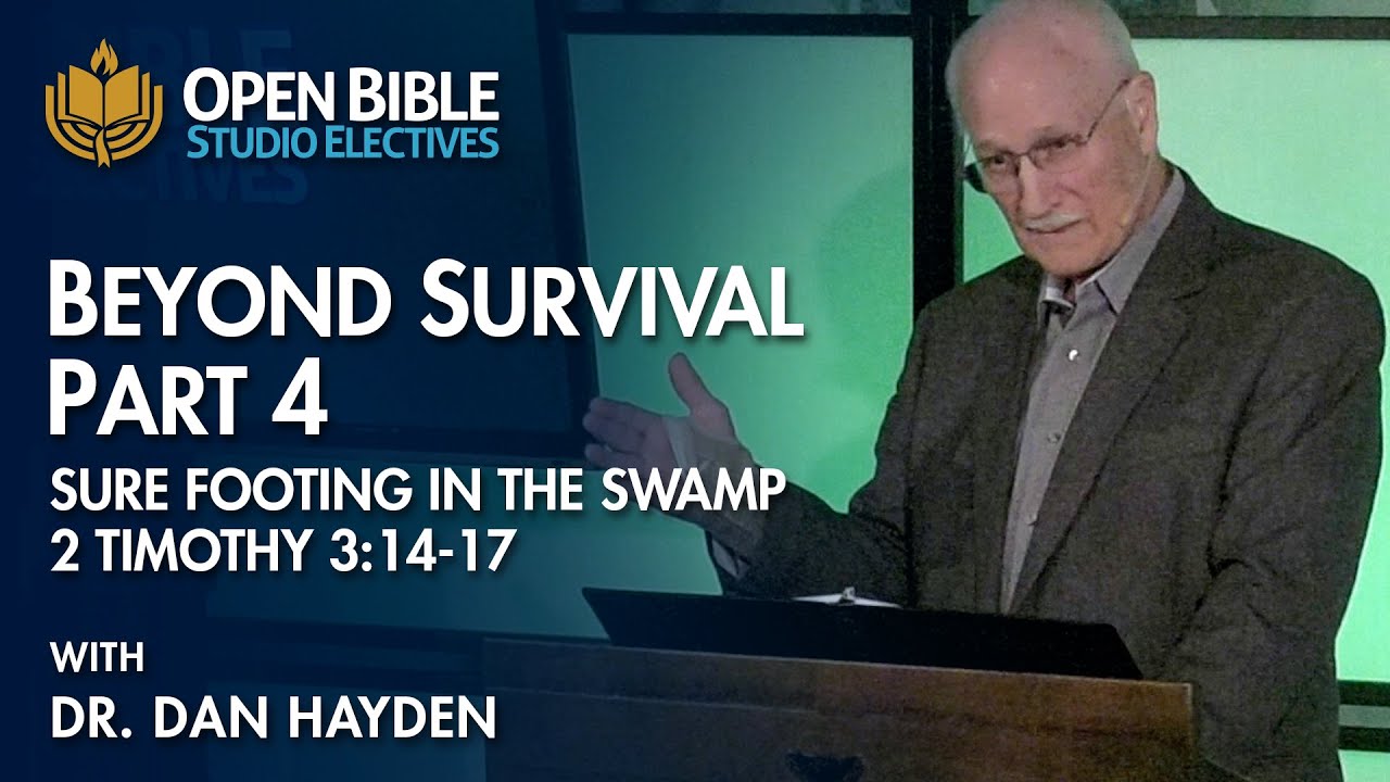 Studio Electives - Beyond Survival Part 4 - Sure Footing in the Swamp ...