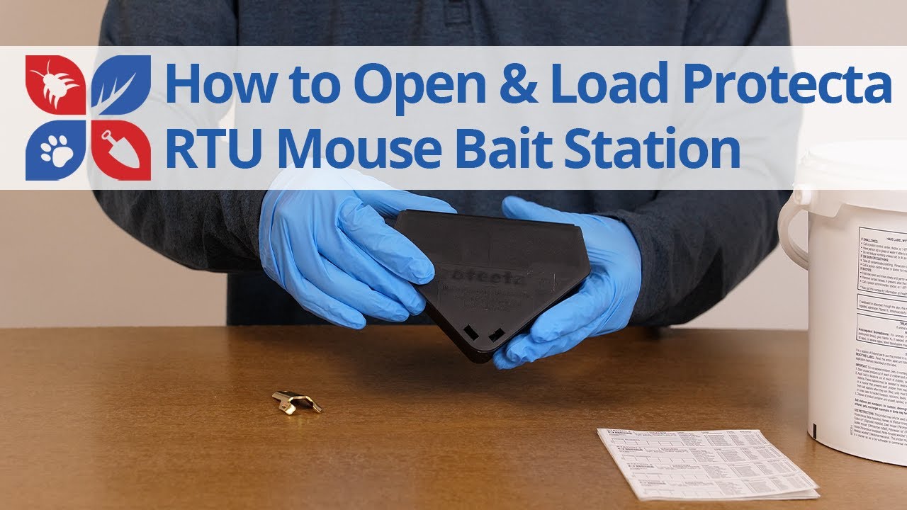 How to Open and Load Protecta RTU Mouse Bait Station | DoMyOwn.com ...