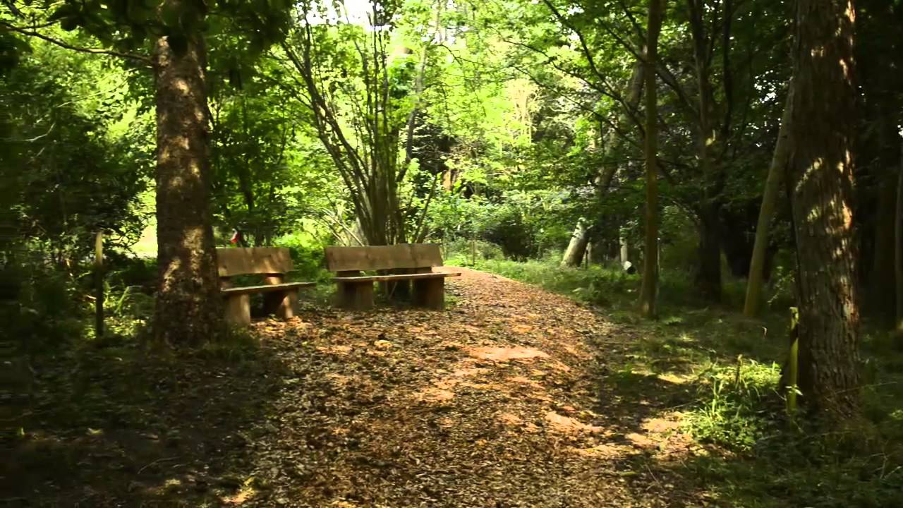 Terapihaven Nacadia i Hørsholm - YouTube