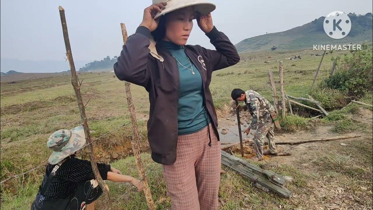 xov li no lawm xwb os sab kawg li tau 3 hnub no na 30 /4/2024 - YouTube