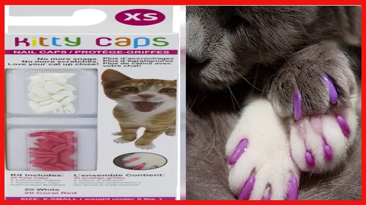 Kitty Caps Nail Caps for Cats - Pure White and Coral Red, Multiple ...