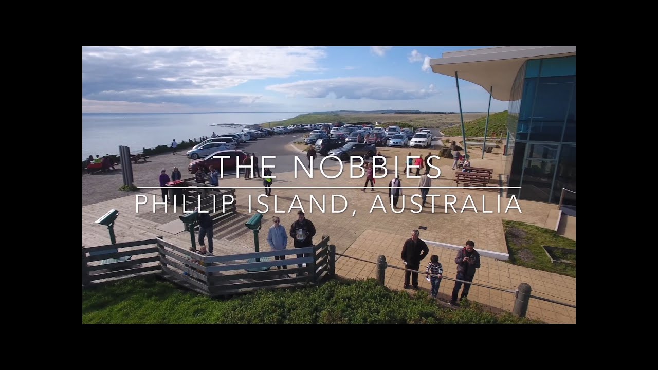 Our World by Drone in 4K - Seal Rock, Victoria, Australia - YouTube