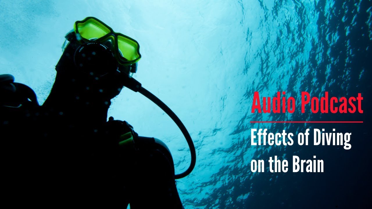 Effects of Diving on the Brain - YouTube