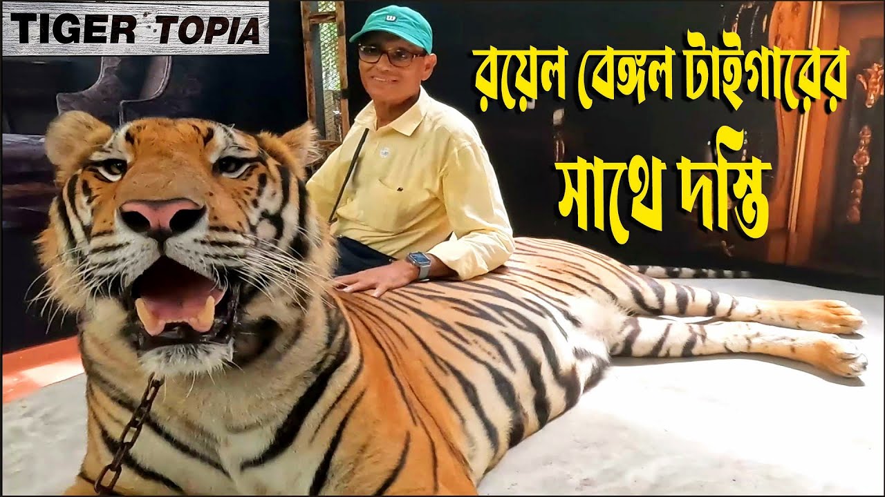 TIGER TOPIA ZOO THAILAND World's largest tiger zoo located about 90 km ...