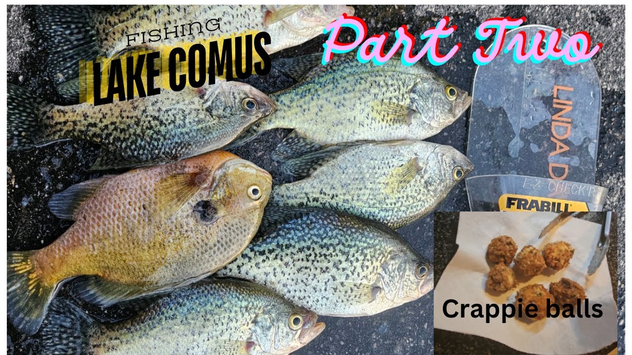 Fishing Lake Comus in Lake Delavan {Part two} - YouTube