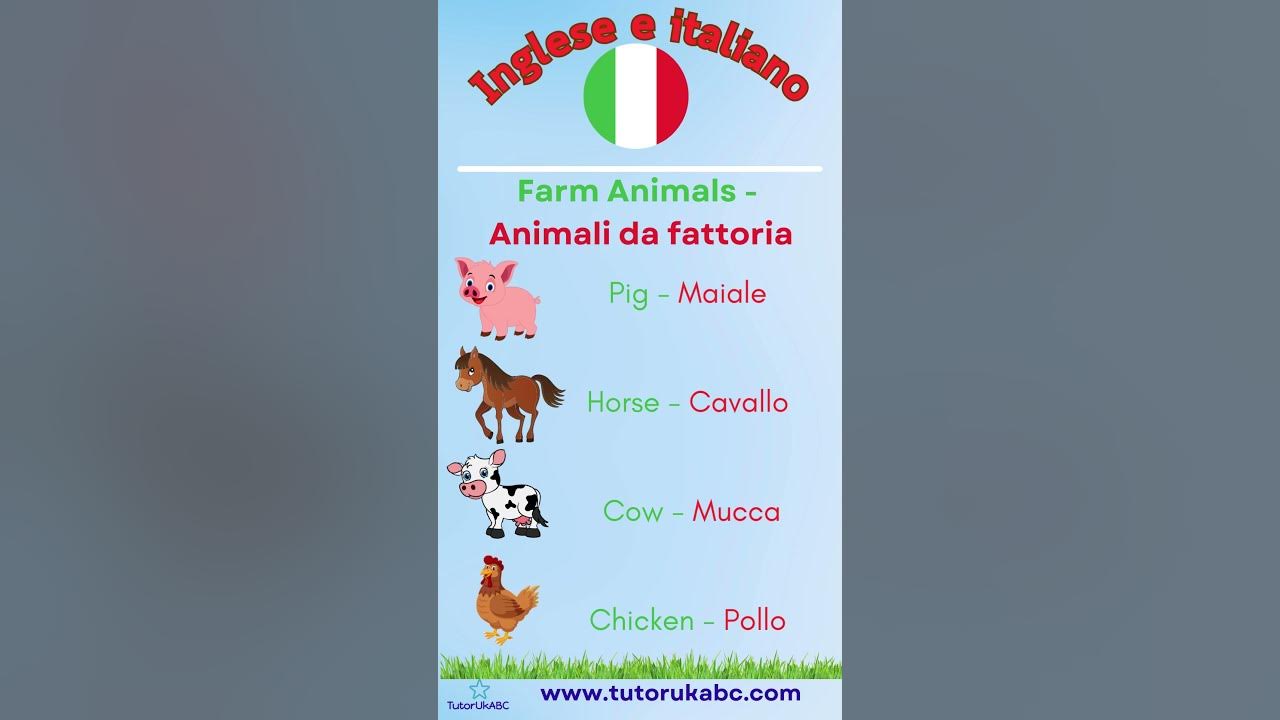 Farm Animals 1 (Animali da fattoria) in English and Italian | Multi ...