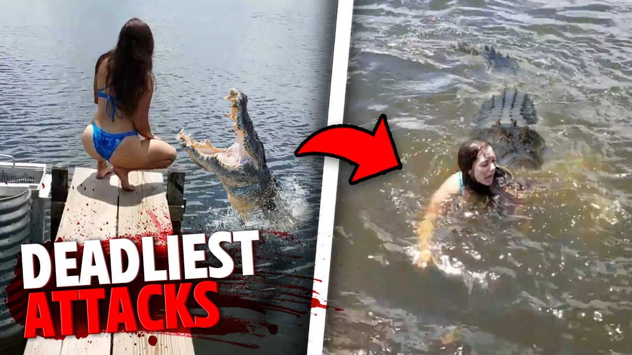 Deadliest Crocodile Attacks of 2023 MARATHON! - YouTube