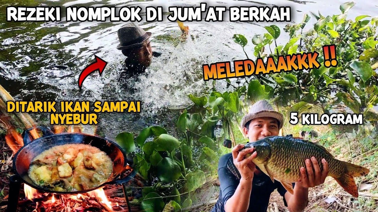 VIRAL‼️DAPAT RATUNYA IKAN MAS CIRATA, BIG MONSTER FISH | fishing and ...