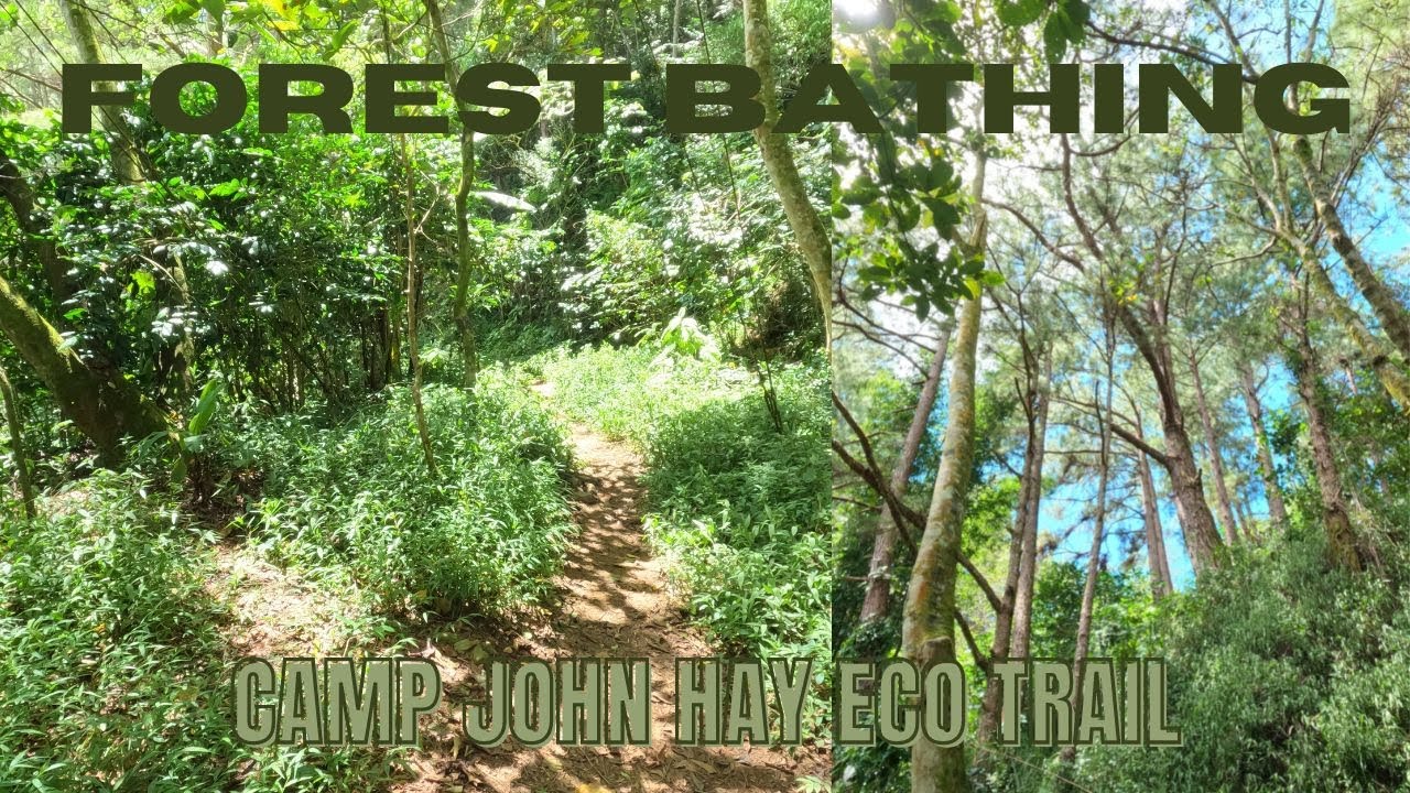 FOREST TRAIL_CAMP JOHN HAY, BAGUIO CITY 🌲🌳🌄⛺ || PARA KANG NASA IBANG ...