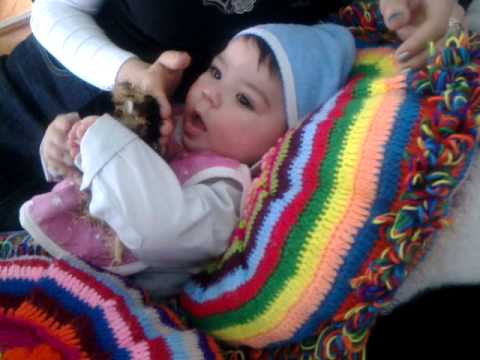 pirkol usaq
