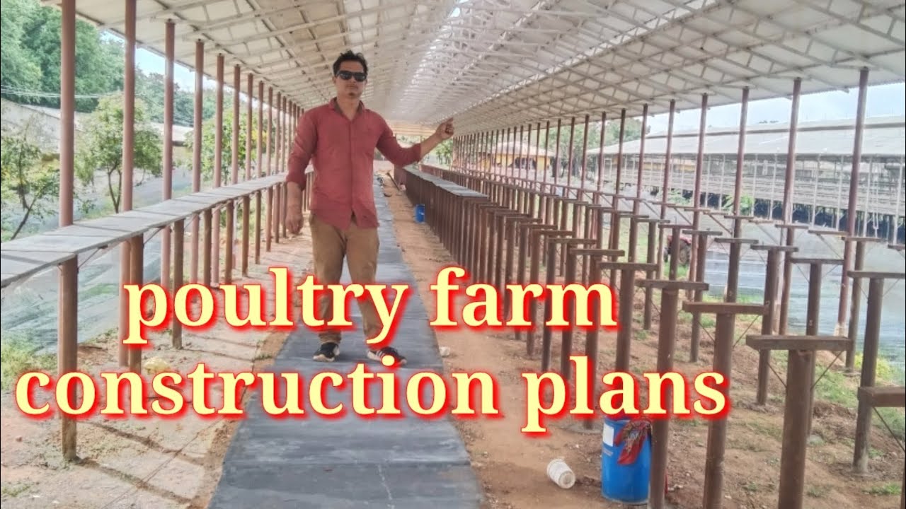 poultry farm construction plans || New Layer poultry farm construction ...