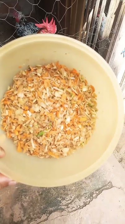 Hora da salada das gsbs - YouTube