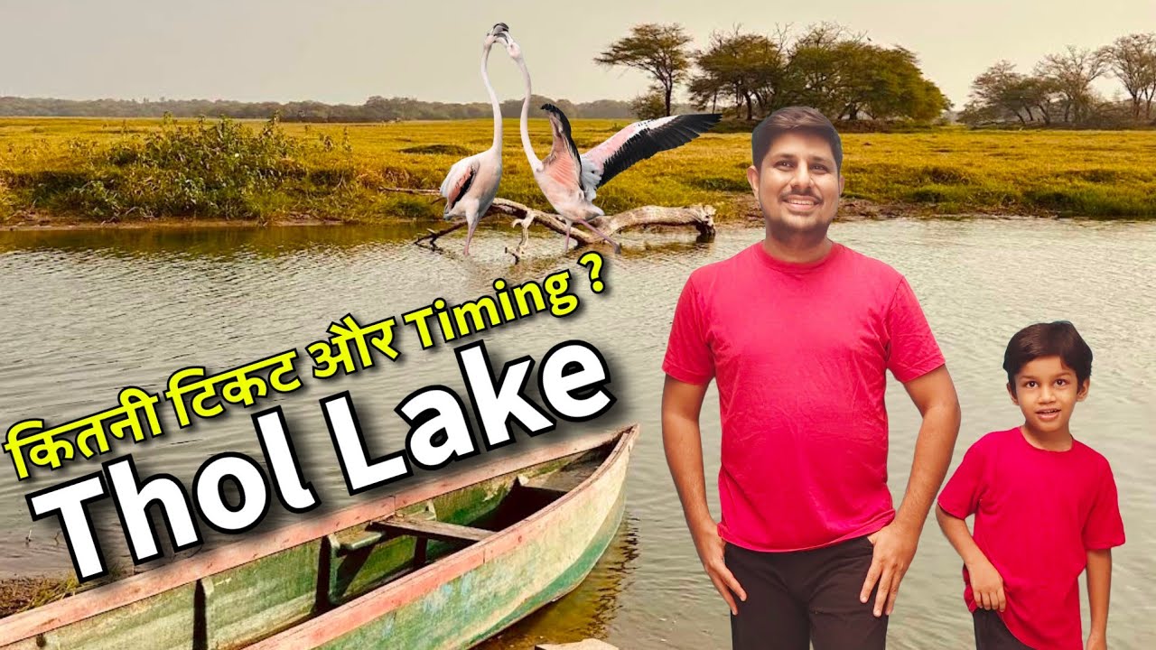 Thol Lake a Short Drive with Family from Ahmedabad | Ticket Price ...