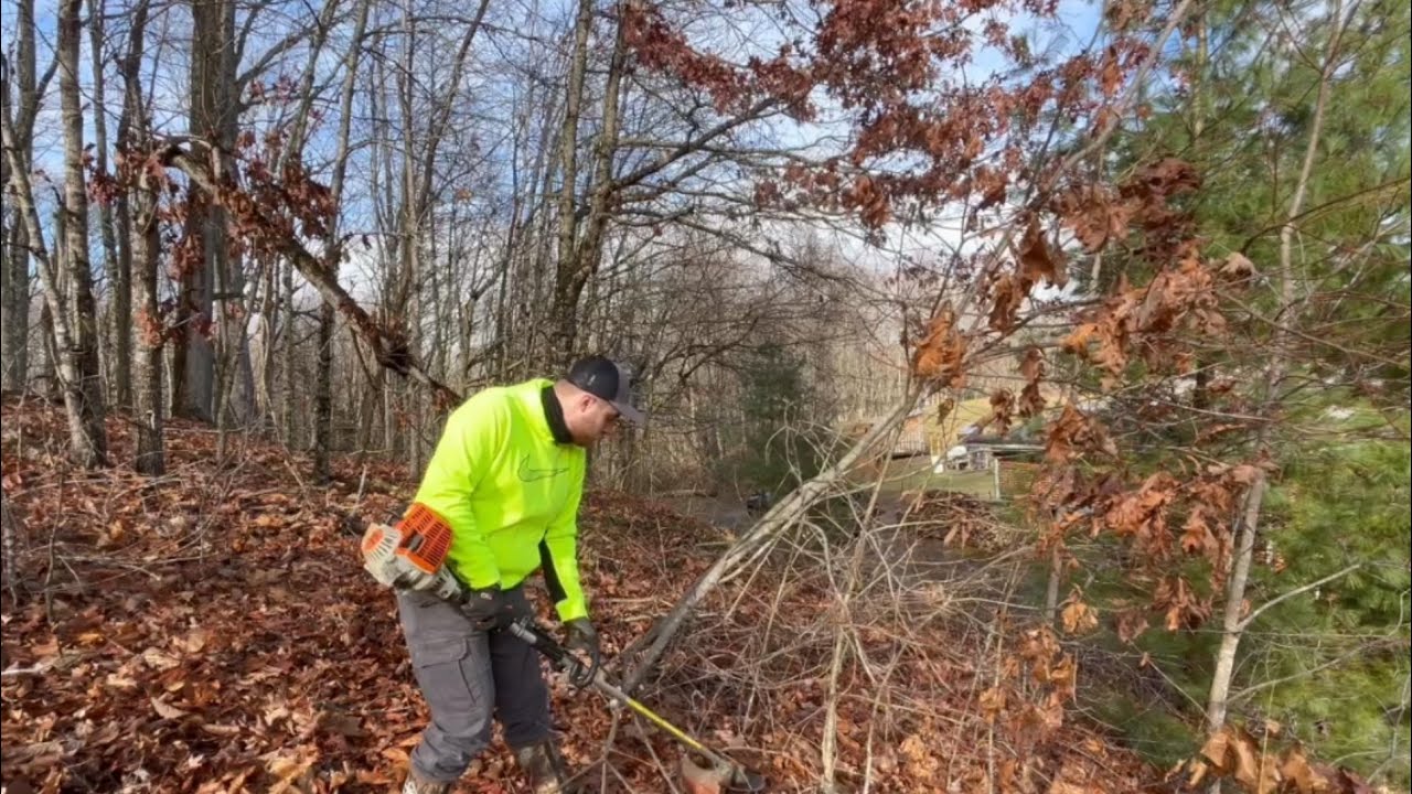 Clearing A Path With Our Saw Blade Stihl Trimmer - YouTube