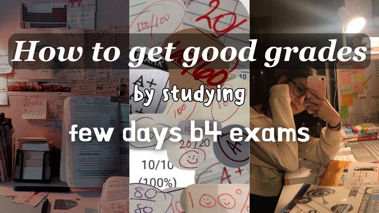 How To Get Good Grades By Studying A Few Days Before Exams Useful Tips How To Get Good Grades By Studying A Few Days Before Exams Useful Tips