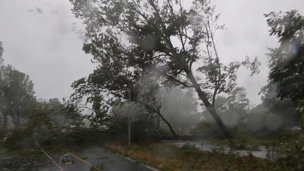 Veel schade door storm Poly in Noord Holland - YouTube