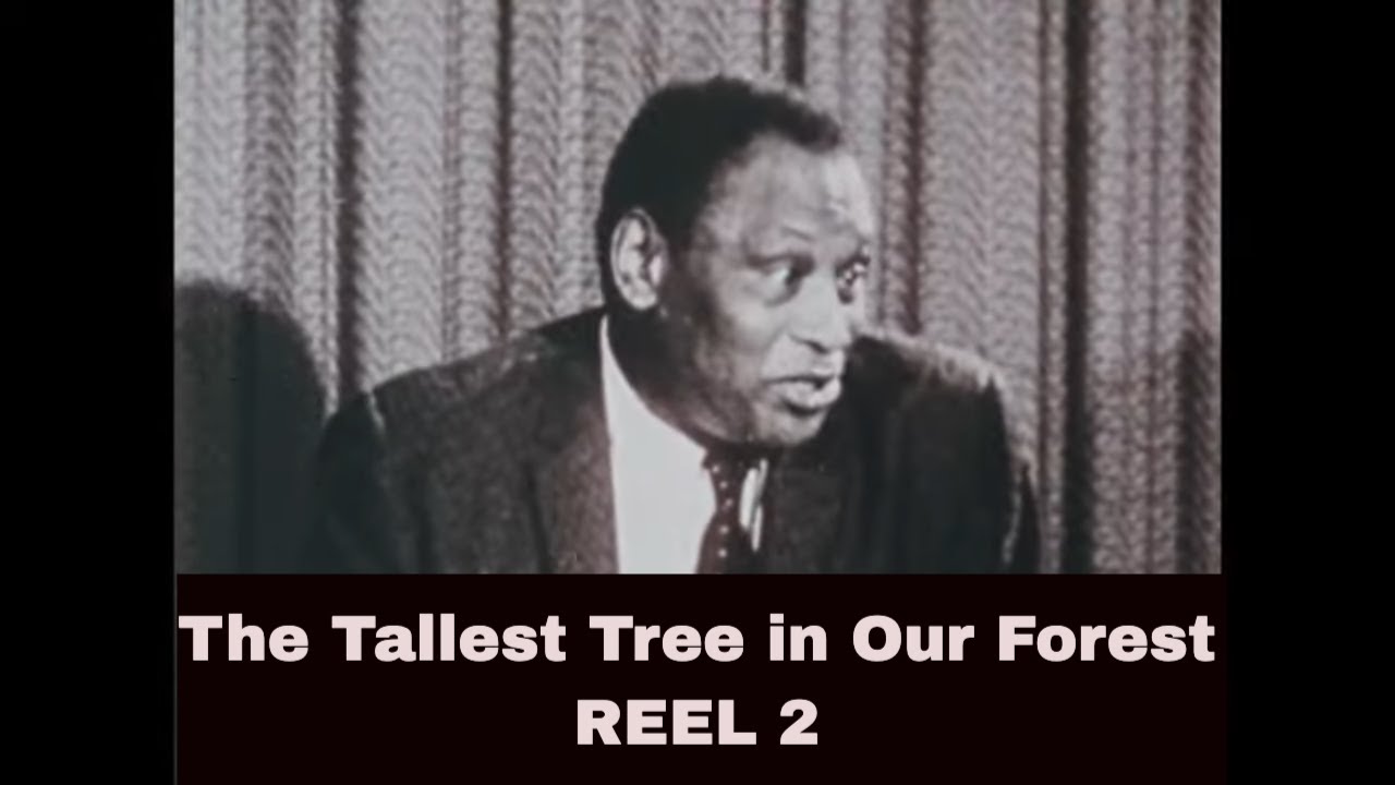 THE TALLEST TREE IN OUR FOREST ” 1977 PAUL ROBESON DOCUMENTARY CIVIL ...