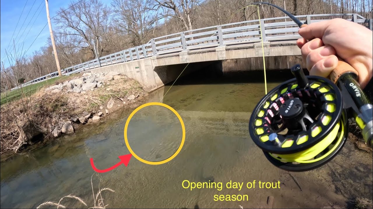 Fly fishing Powder mill park 2024 opening day - YouTube