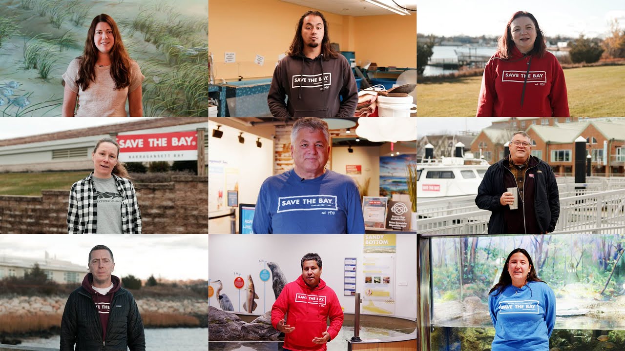 Save The Bay - Why Do We Save The Bay? - YouTube