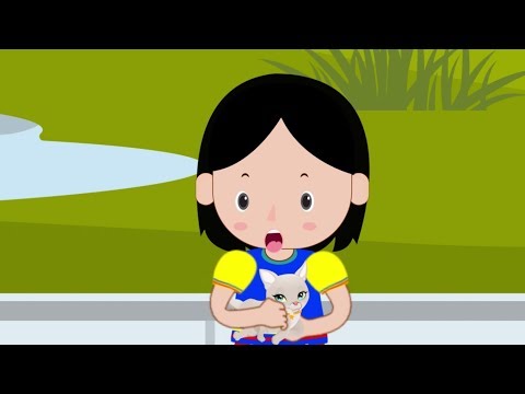 Heri mệt mỏi với con mèo của Shine