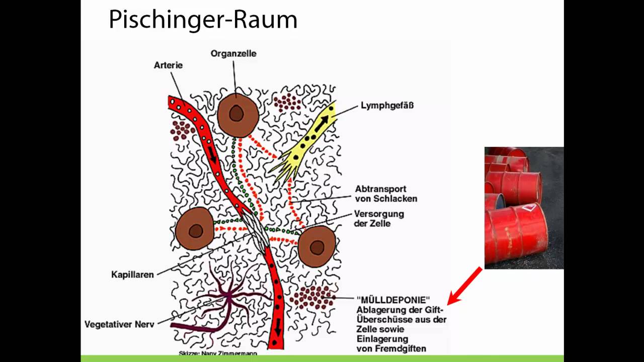 Entgiftung: wie geht das? - YouTube