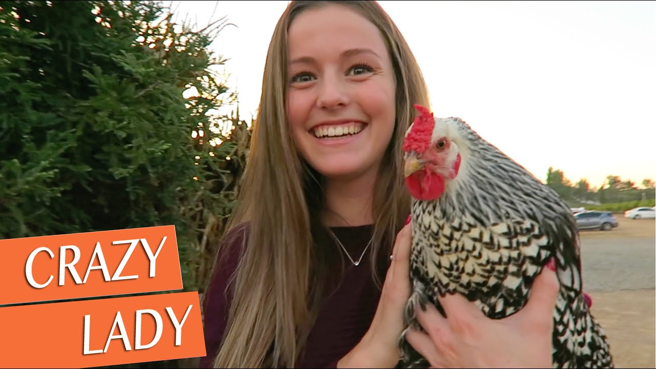 | CRAZY CHICKEN LADY?! | - YouTube